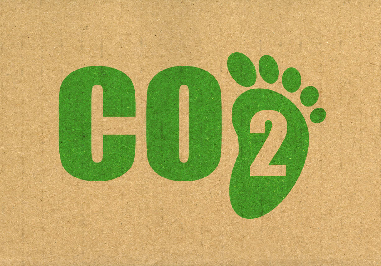 Three Ways You Can Reduce Your Carbon Footprint