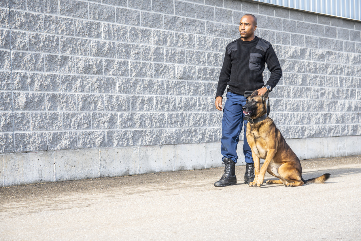 K9 Security Services | Professional Canine Security Patrols